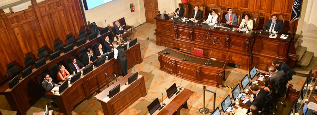 Desafíos y riesgos del proceso constitucional - Fundación Jaime Guzmán